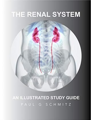 The Renal System An Illustrated Study Guide PDF | CtsQena